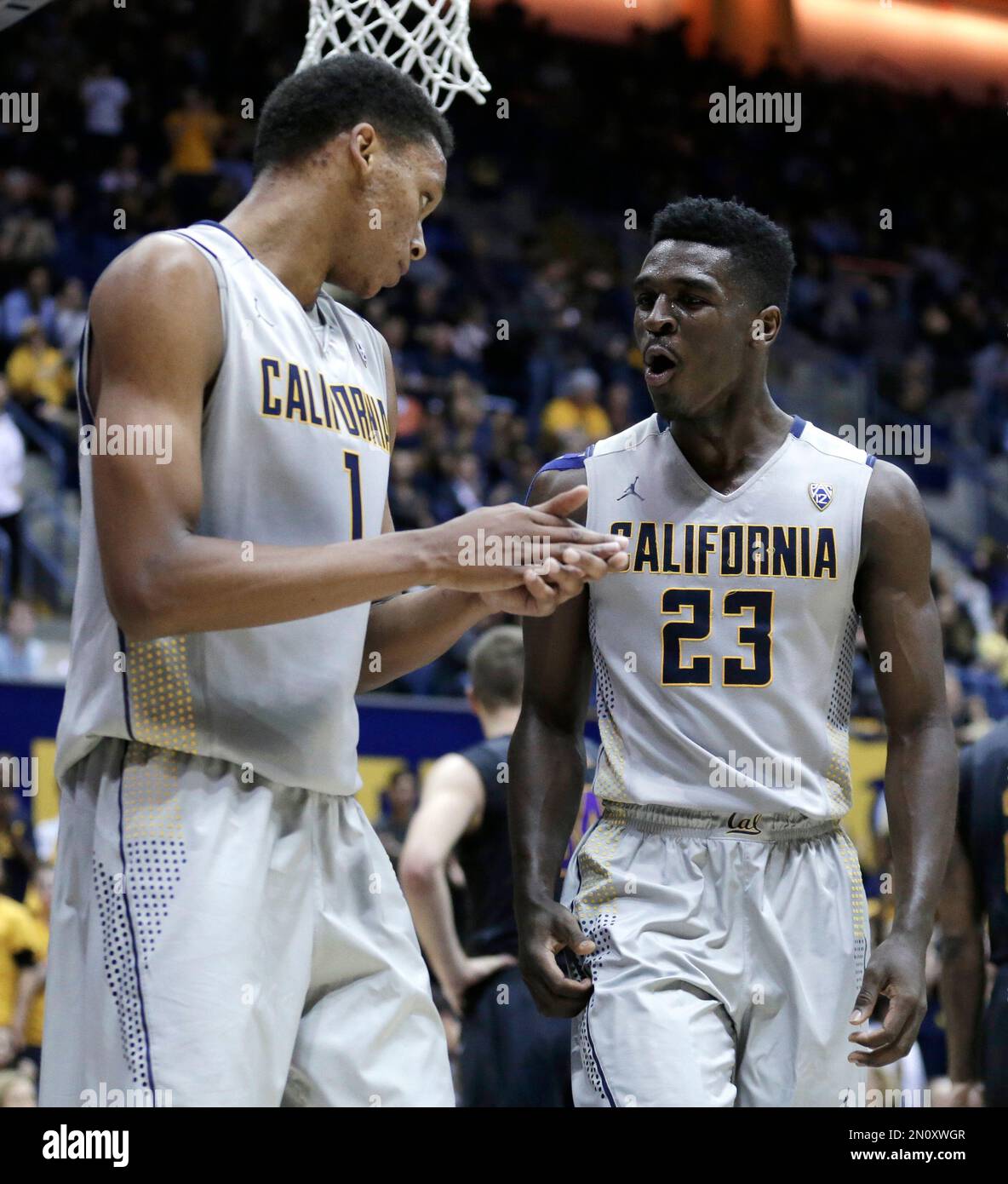 California's Ivan Rabb, left, and Jabari Bird (23) celebrate a score ...