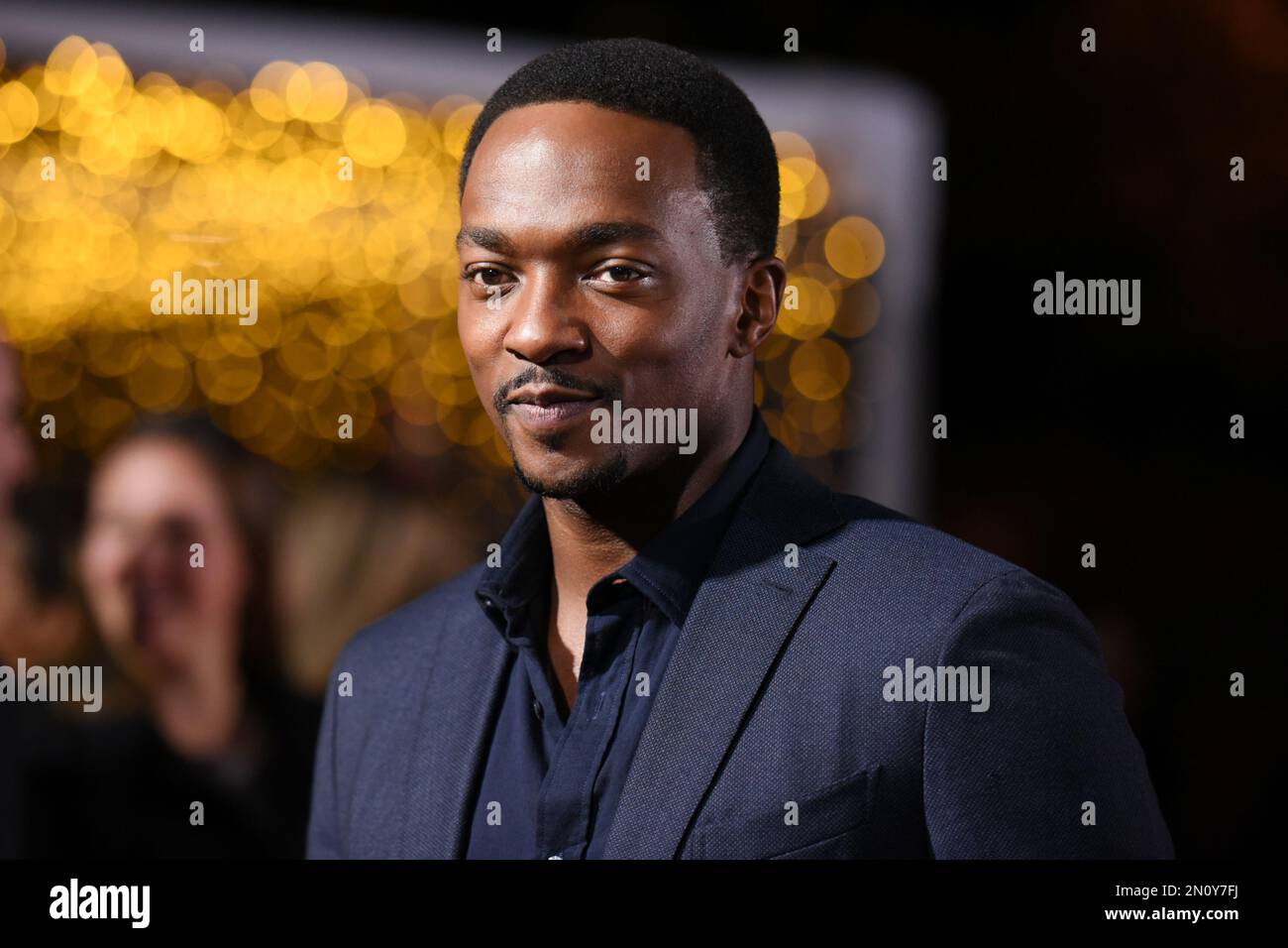 Actor Anthony Mackie attends the LA Premiere of "The Night Before" held ...