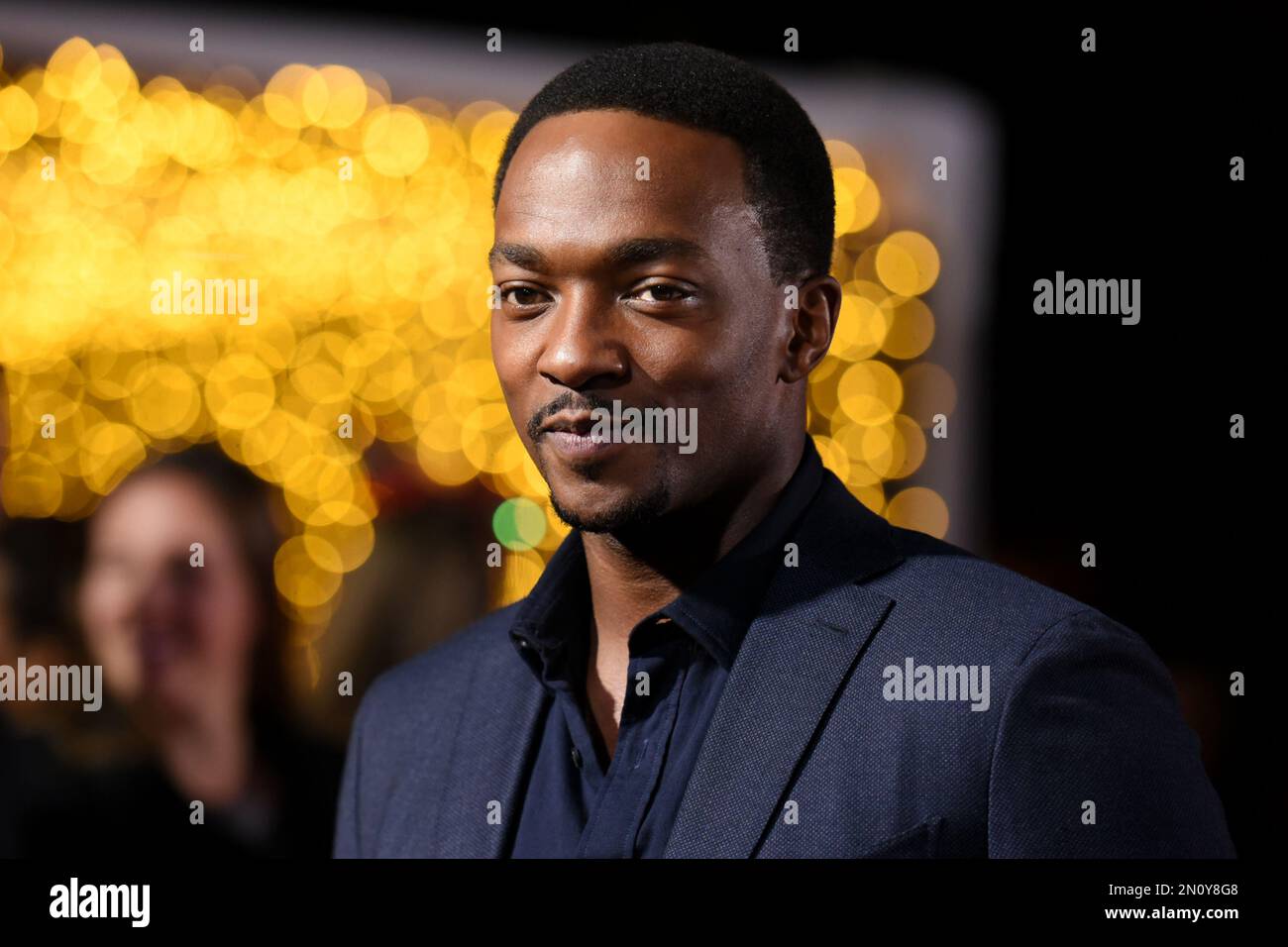 Actor Anthony Mackie attends the LA Premiere of "The Night Before" held ...