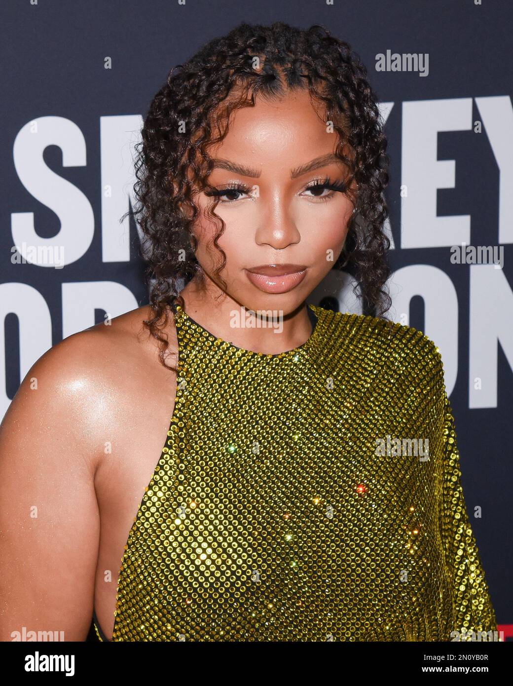 Chloe bailey 2023 hi-res stock photography and images - Alamy