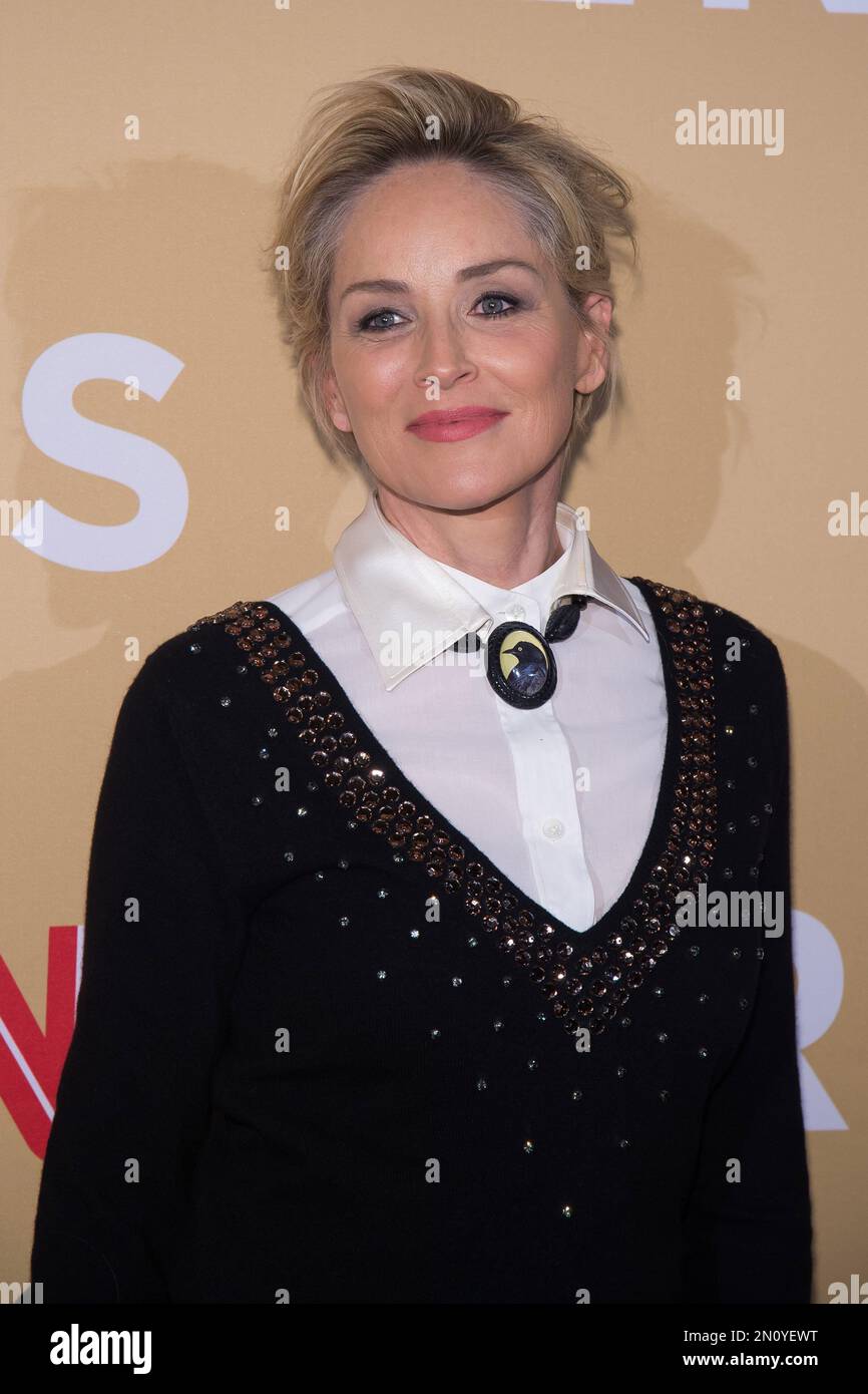 Sharon Stone attends CNN Heroes: An All-Star Tribute at the American ...