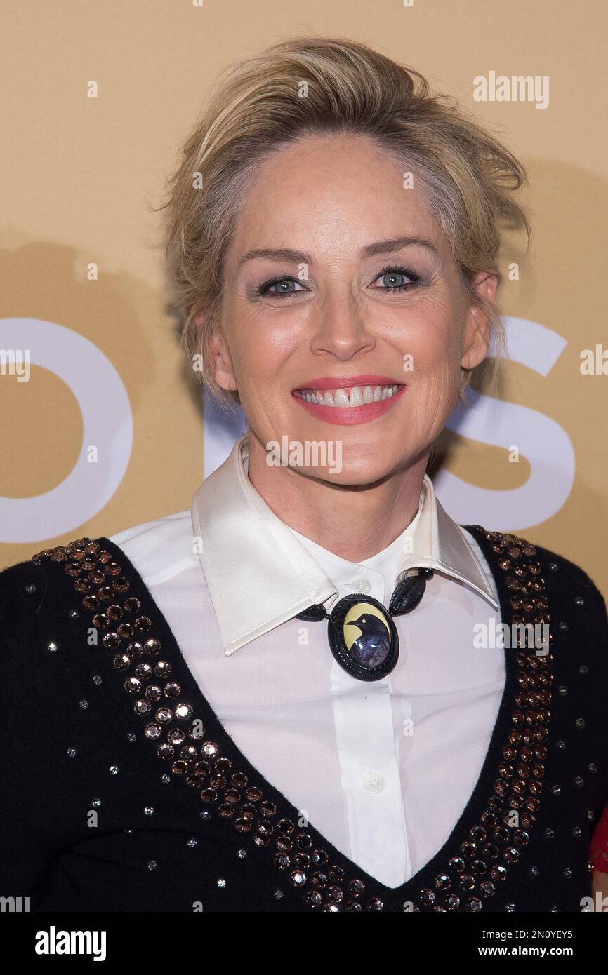 Sharon Stone attends CNN Heroes: An All-Star Tribute at the American ...