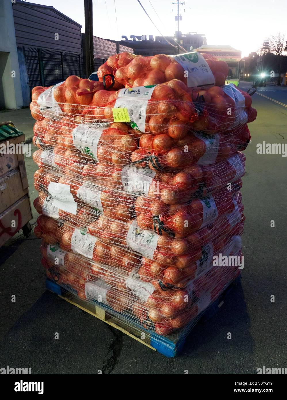 Pallet of yellow onions in large bags ready for delivery Stock Photo ...
