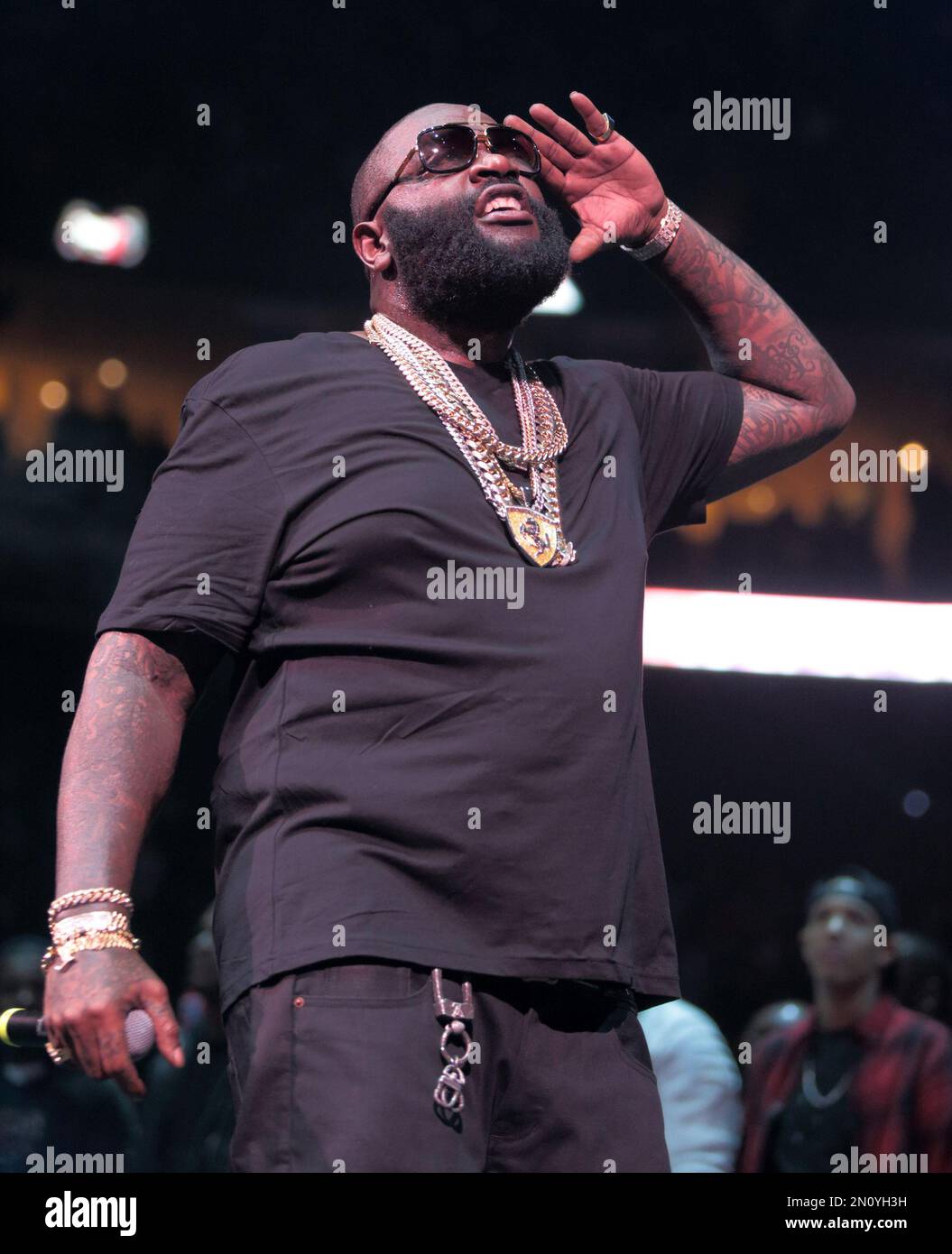 Rick Ross Indian Chain