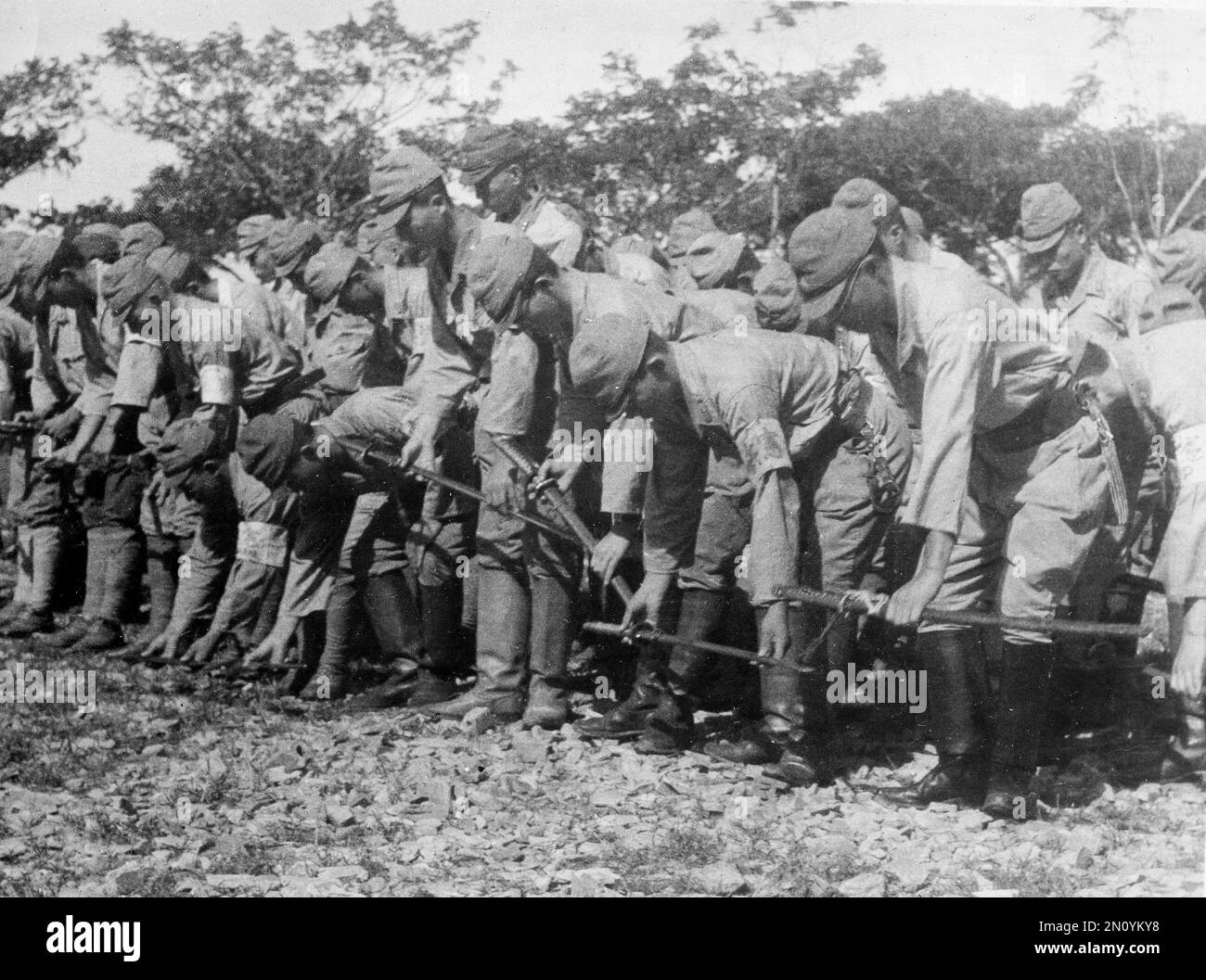 Brought down to Saigon from the northern province of French Indochina ...