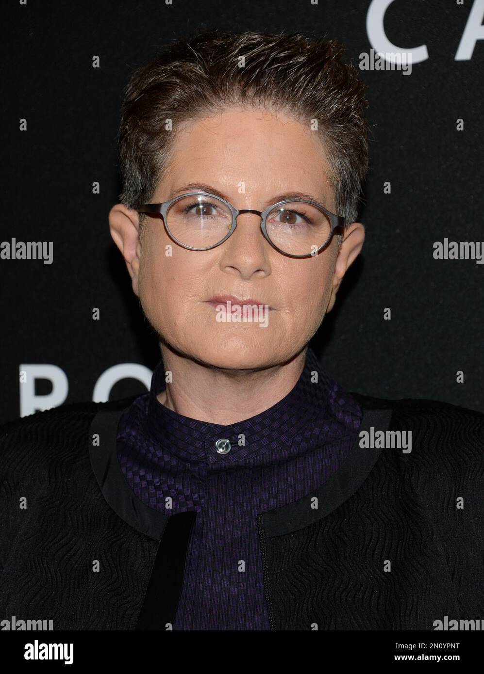 Writer Phyllis Nagy attends the premiere of "Carol" at the Museum of ...