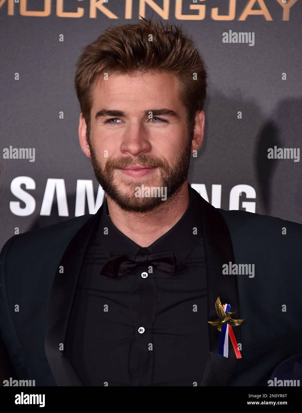 Liam Hemsworth arrives at the Los Angeles premiere of "The Hunger Games ...