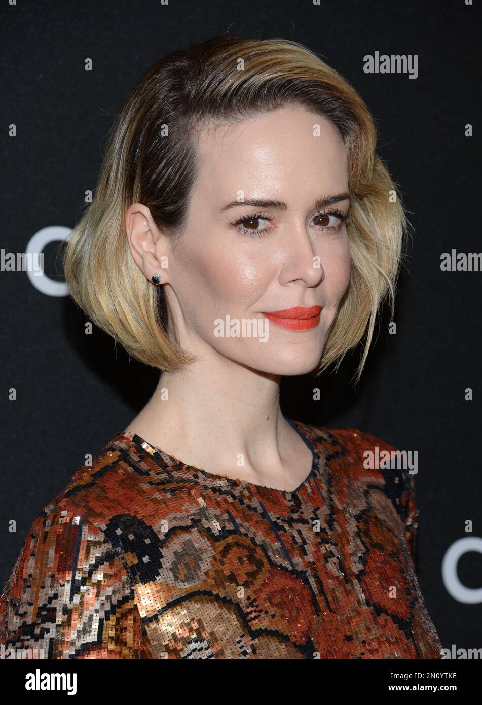 Actress Sarah Paulson attends the premiere of "Carol" at the Museum of ...