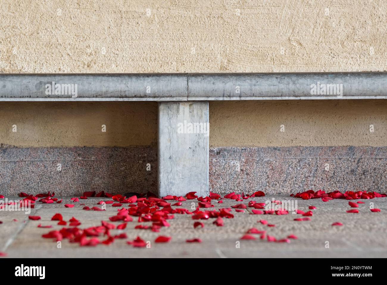 Stone bench roses hi-res stock photography and images - Alamy