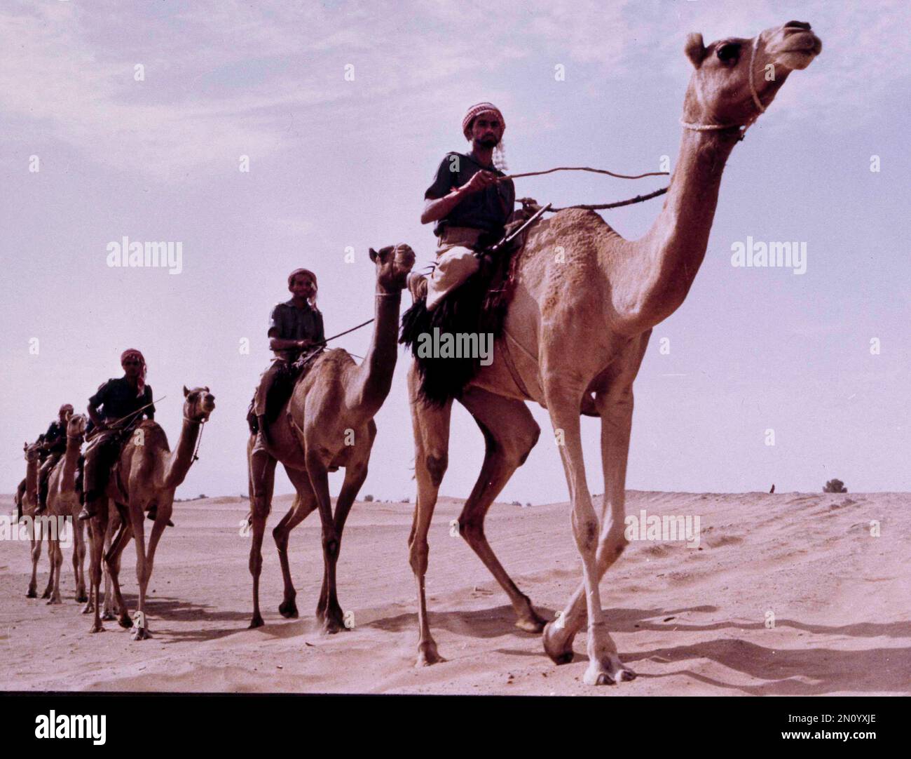 British Trucial Oman Scouts, based at Fort Jahli near the Buraimi Oasis ...