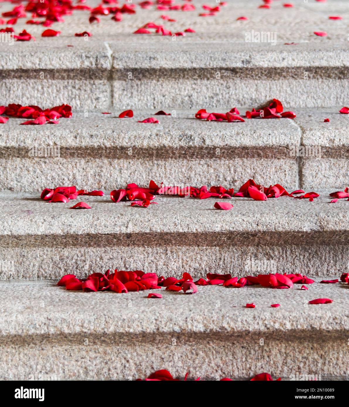 Red roses on steps hi-res stock photography and images - Alamy