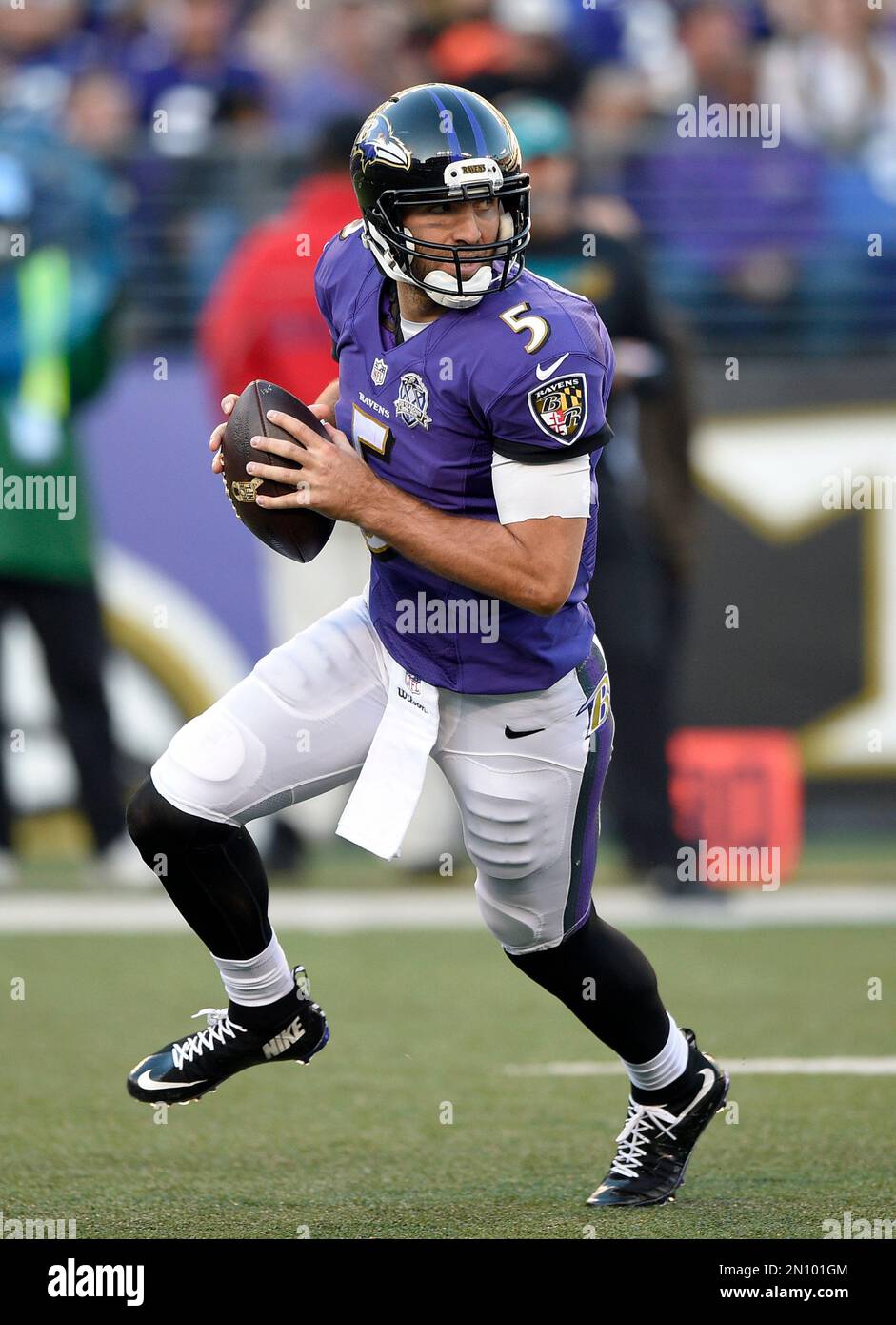 Baltimore Ravens quarterback Joe Flacco drops back from the line of ...