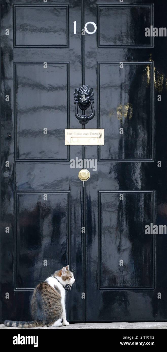 Larry, the British Prime Minister's cat, waits outside 10 Downing ...