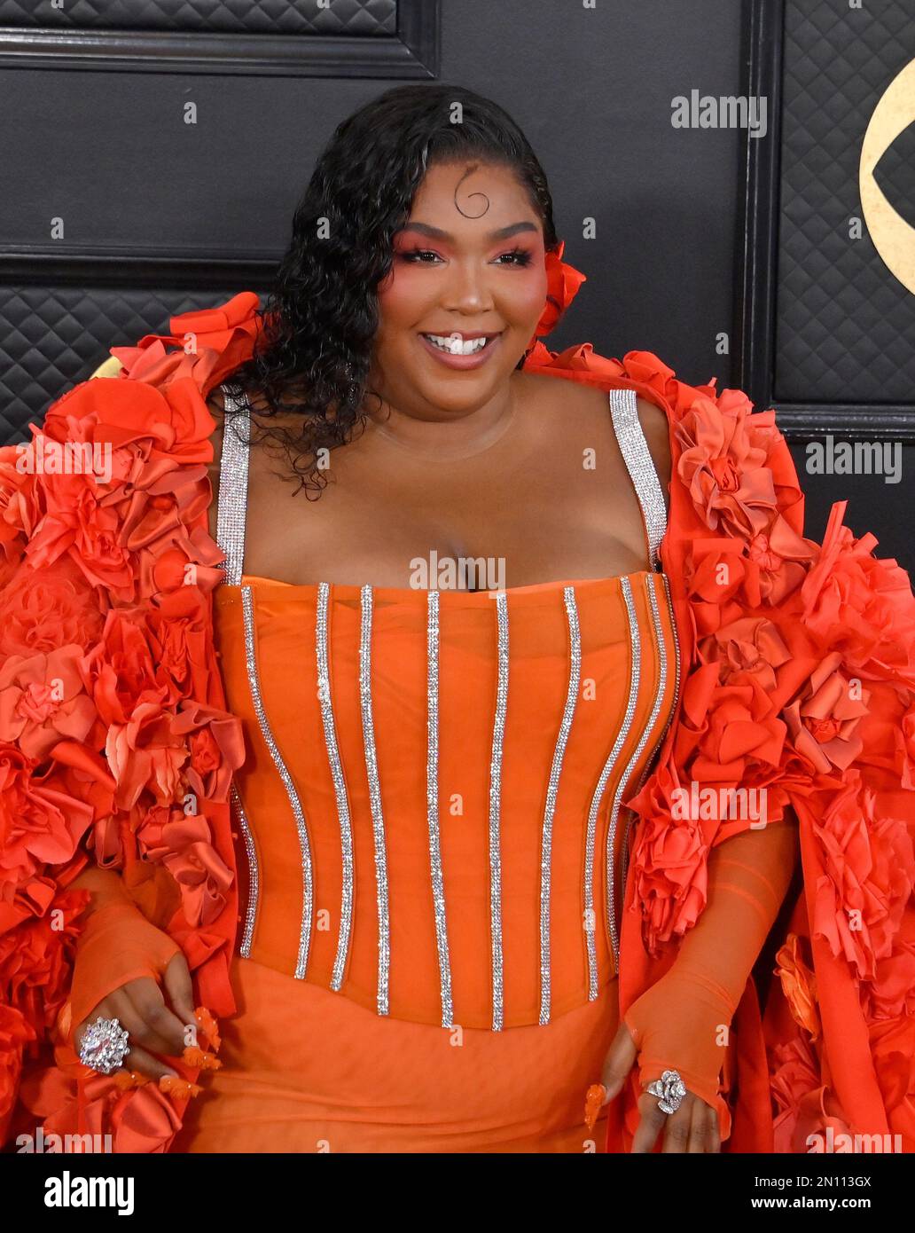Lizzo grammy hi-res stock photography and images - Alamy