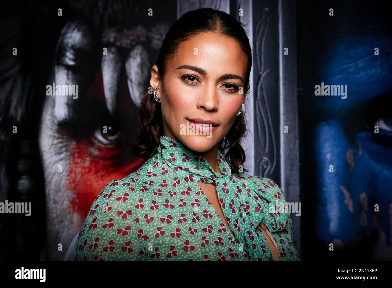 Paula Patton poses for a portrait during Blizzcon at the Anaheim ...