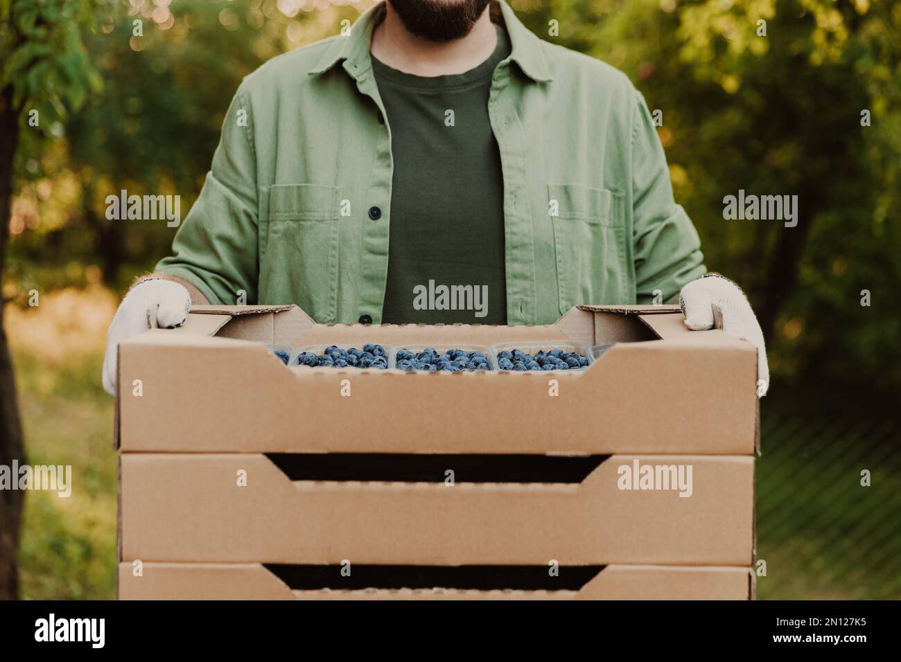 Male farmer hands take and hold cardboard box from stack full of ...