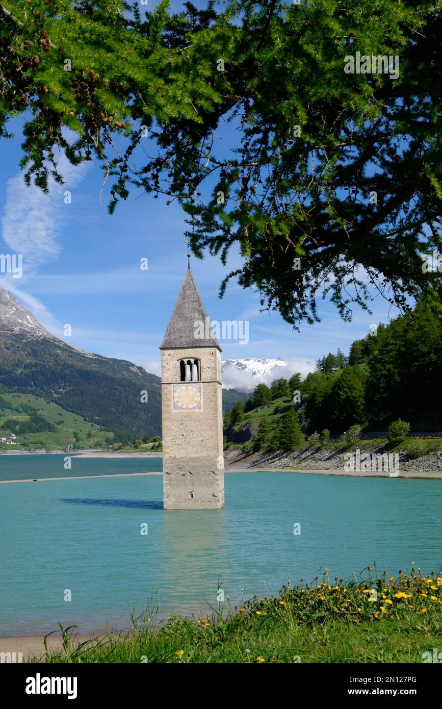 Old church spire of Graun in Reschensee, Reschenstausee, Vinschgau ...