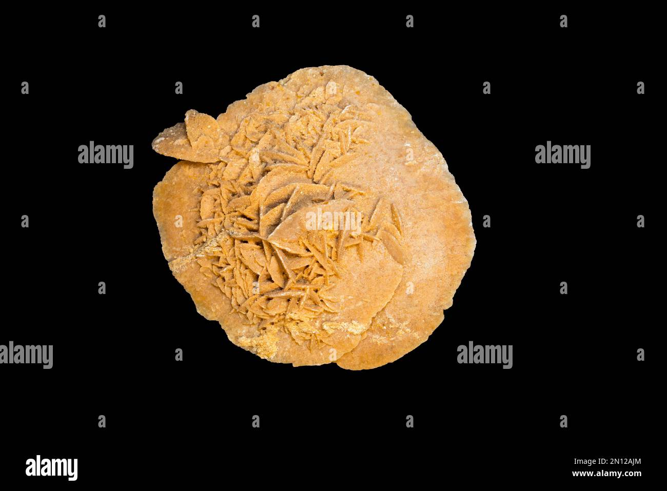 African desert rose hi-res stock photography and images - Alamy