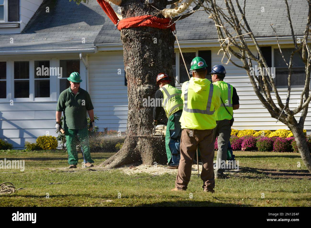 2015 Rockefeller Center Christmas Tree Cutting at the home of Albert ...