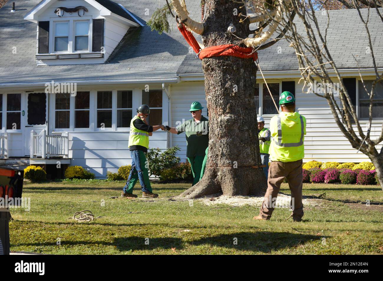 2015 Rockefeller Center Christmas Tree Cutting at the home of Albert ...