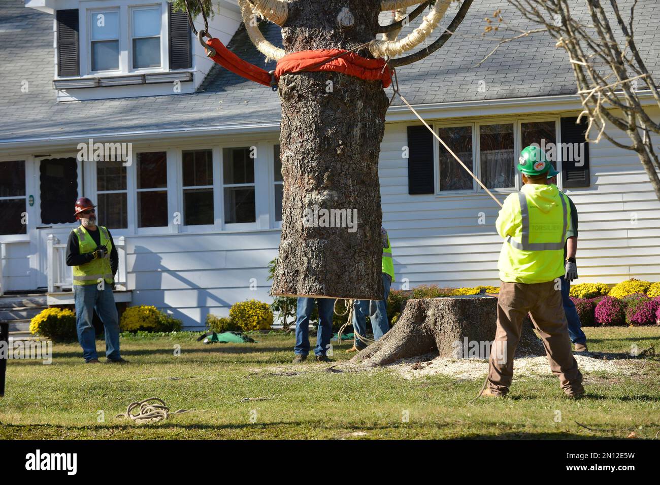 2015 Rockefeller Center Christmas Tree Cutting at the home of Albert ...