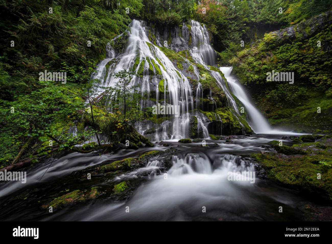 Waterfall, Panther Creek Falls, forest with dense vegetation, long ...