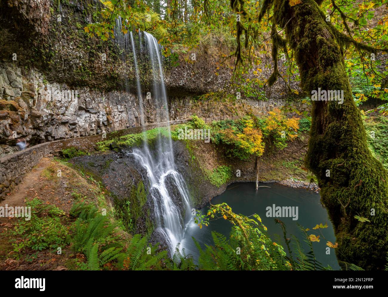 Waterfall, Middle North Falls, dense autumn vegetation, Silver Falls ...