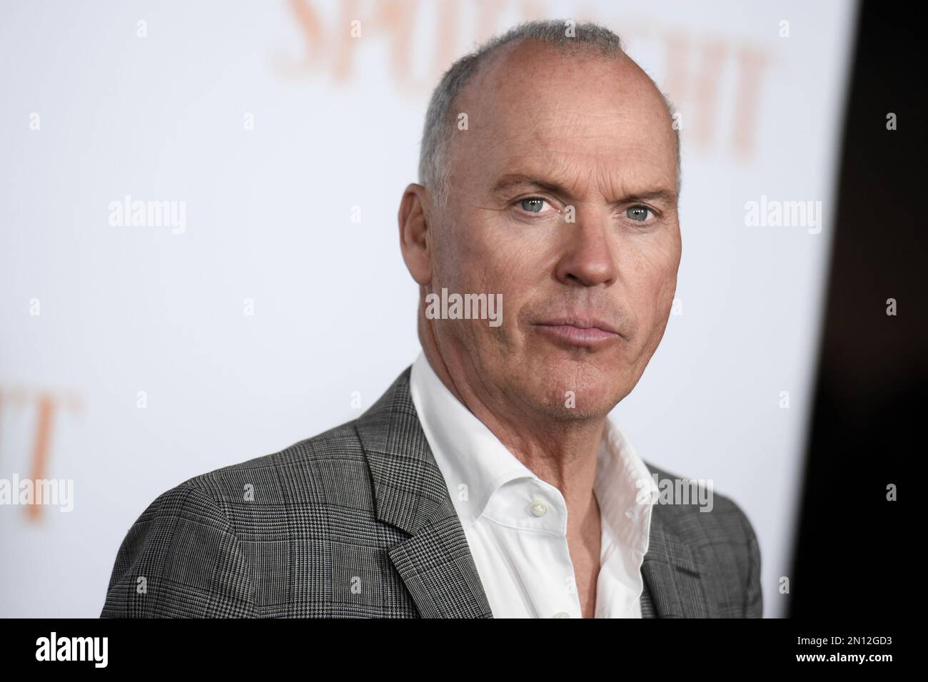 Actor Michael Keaton attends the LA premiere of "Spotlight" held at the ...