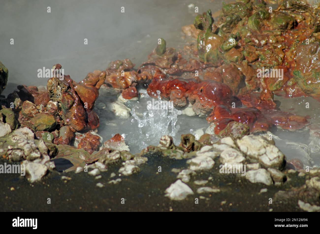 Boiling hot springs with clear water, geology, geothermal fields ...