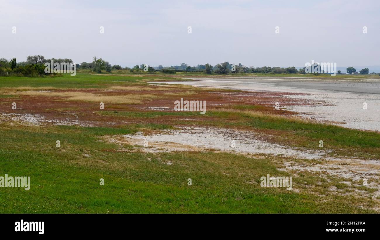 Dried-up salt puddle in late summer, Lake Neusiedl National Park ...