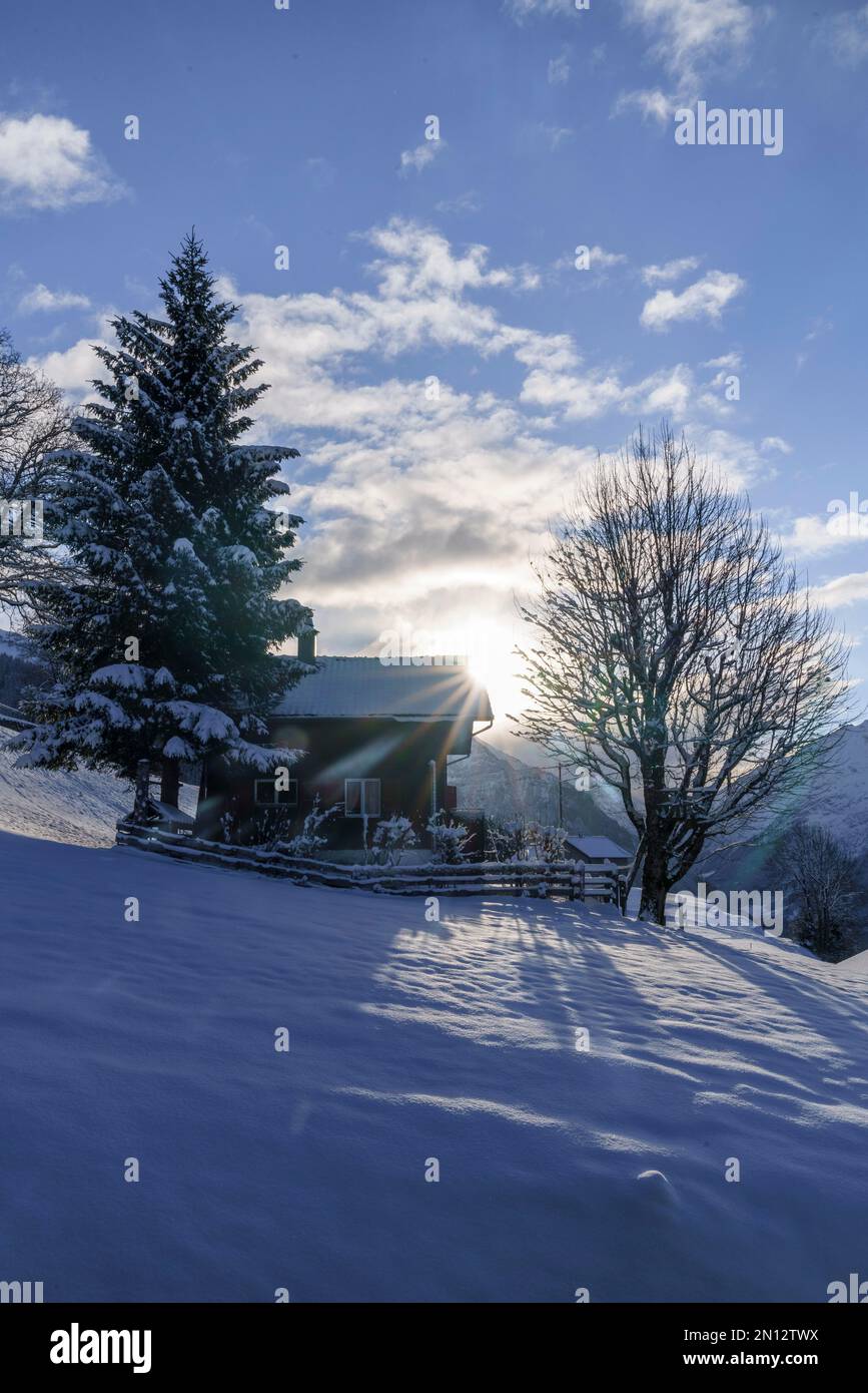 Hut and trees in winter landscape, Hasliberg, Canton Bern, Switzerland ...