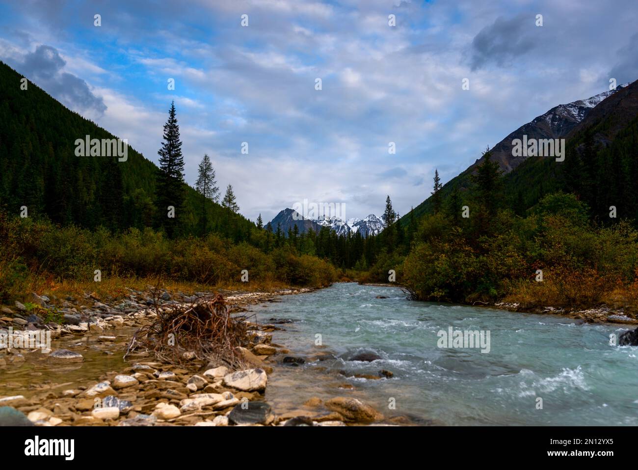 The fast alpine river Shavla flows into the gorge of mountains from the ...