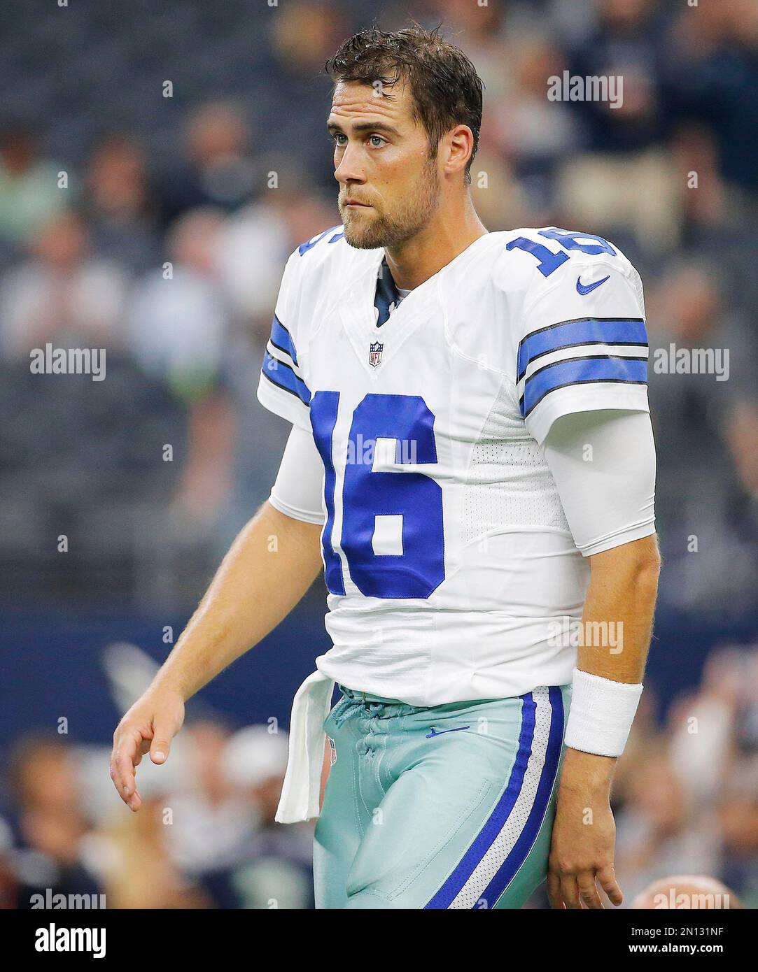 Matt Cassel Wife