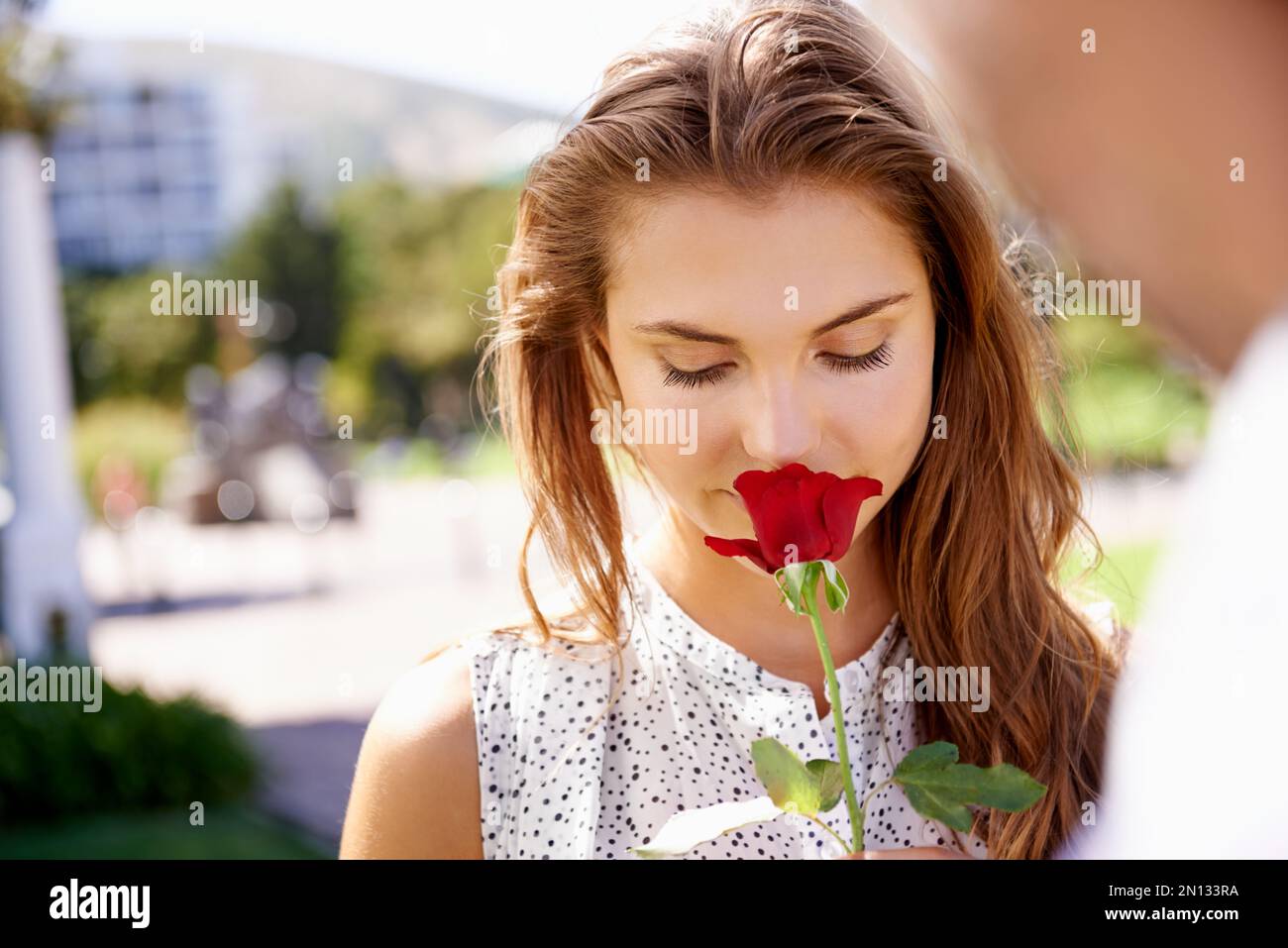 Woman, smelling rose and outdoor for valentines day date at a city park ...