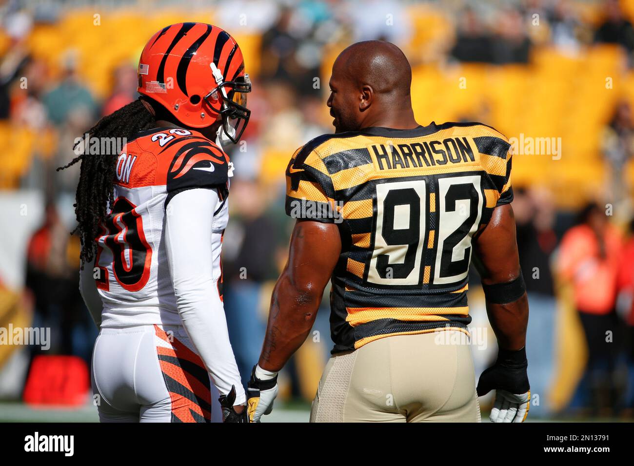 James Harrison Bengals