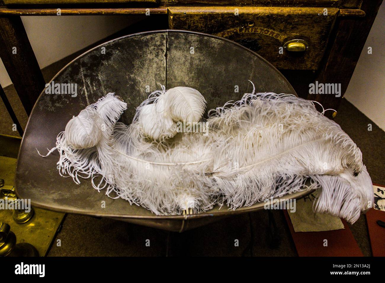Ostrich feather scale, CP Nel Ostrich History Museum, Oudtshoorn, South ...