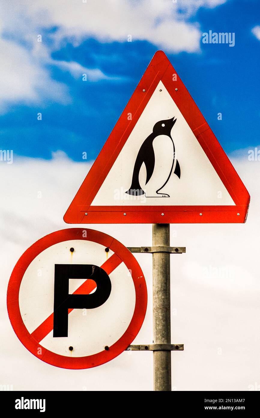 Warning sign in front of african penguins (Spheniscus demersus) at ...
