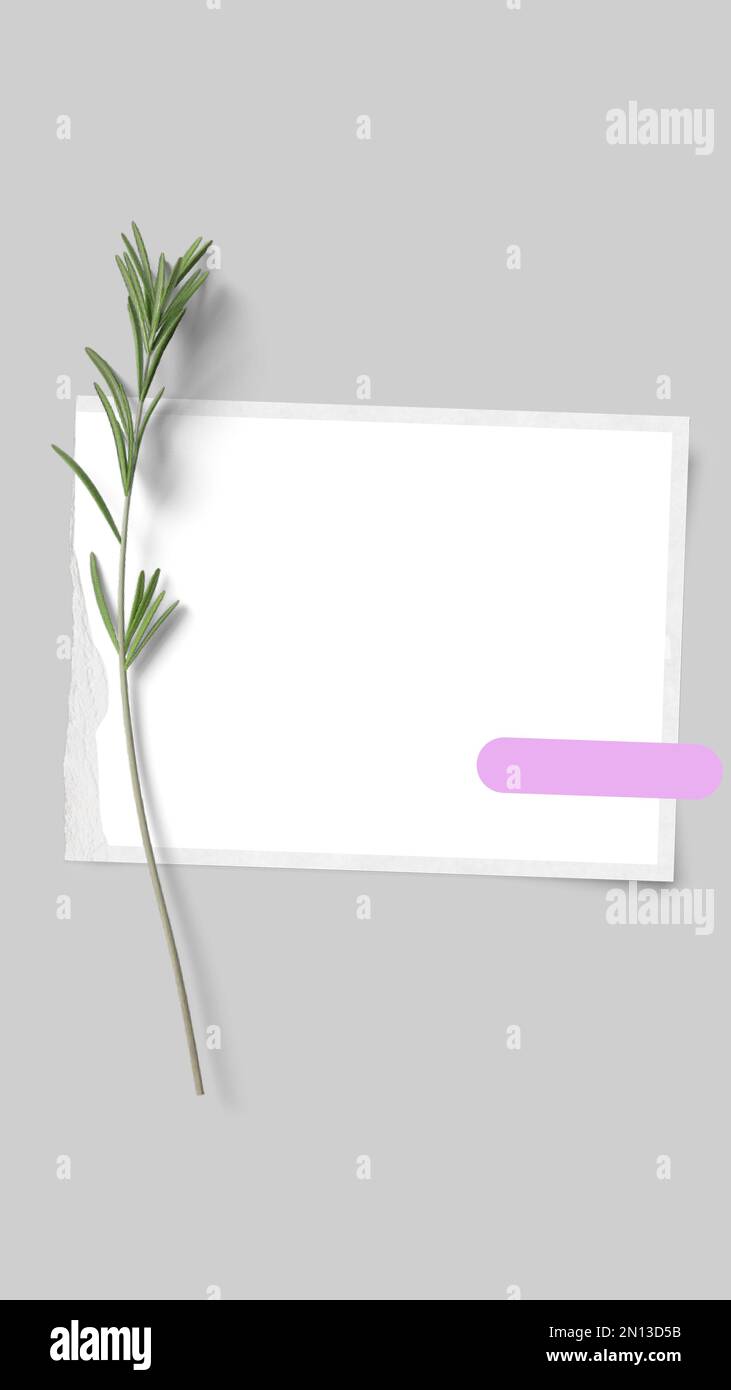 illustration of white paper and cards where you can add or write text ...