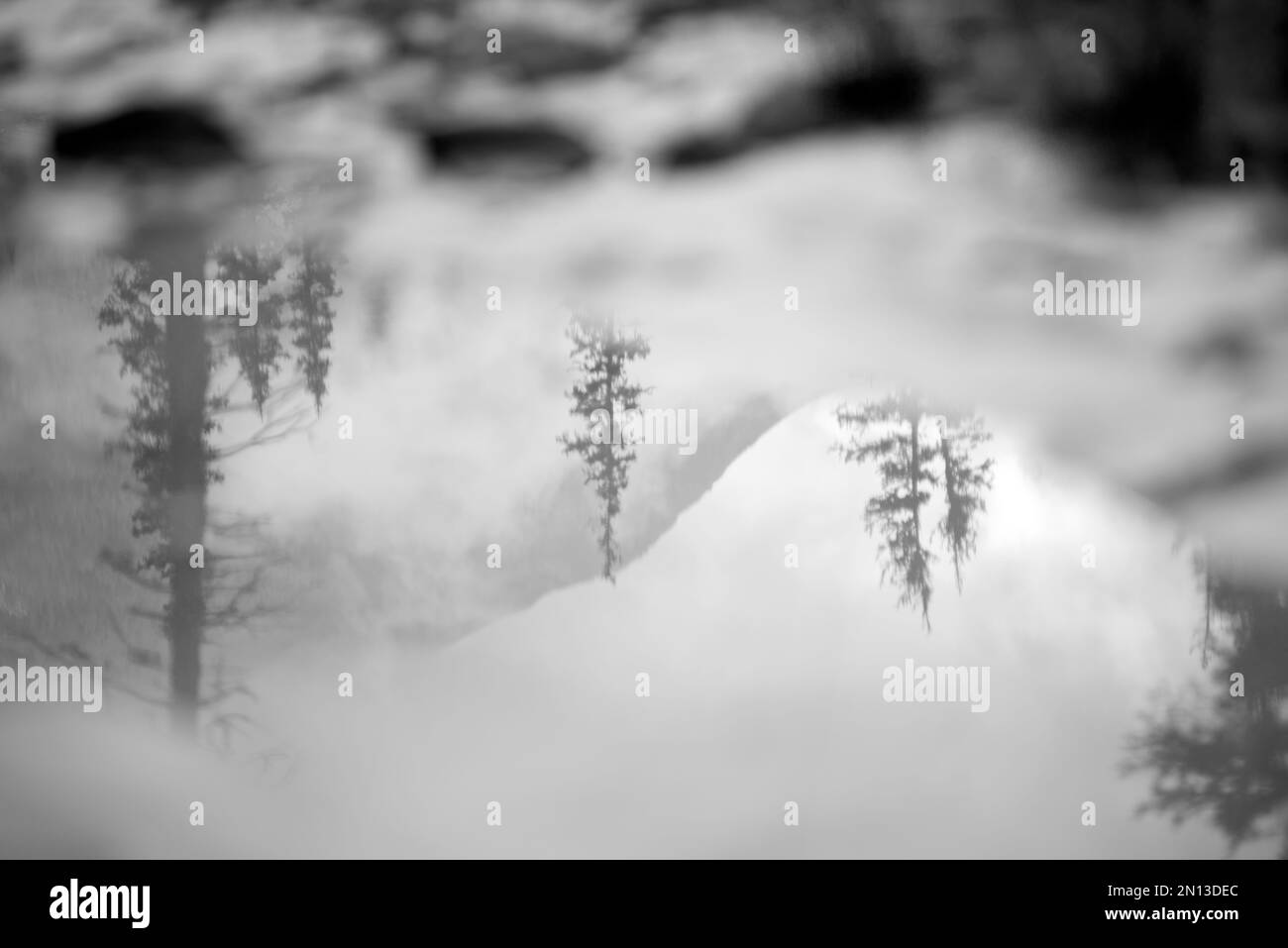 Black and white abstract photo of an inverted reflection in the water ...