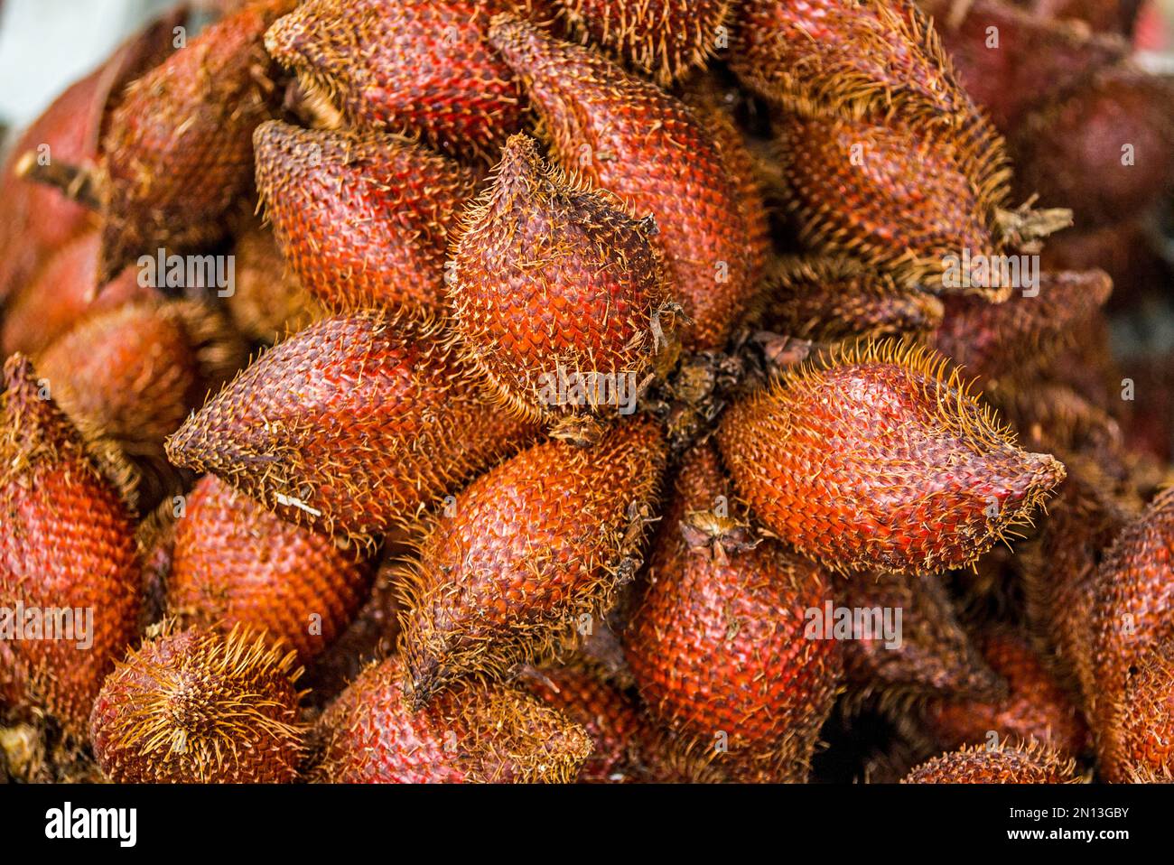 Salak, fruit, market Phuket, Thailand, Asia Stock Photo - Alamy