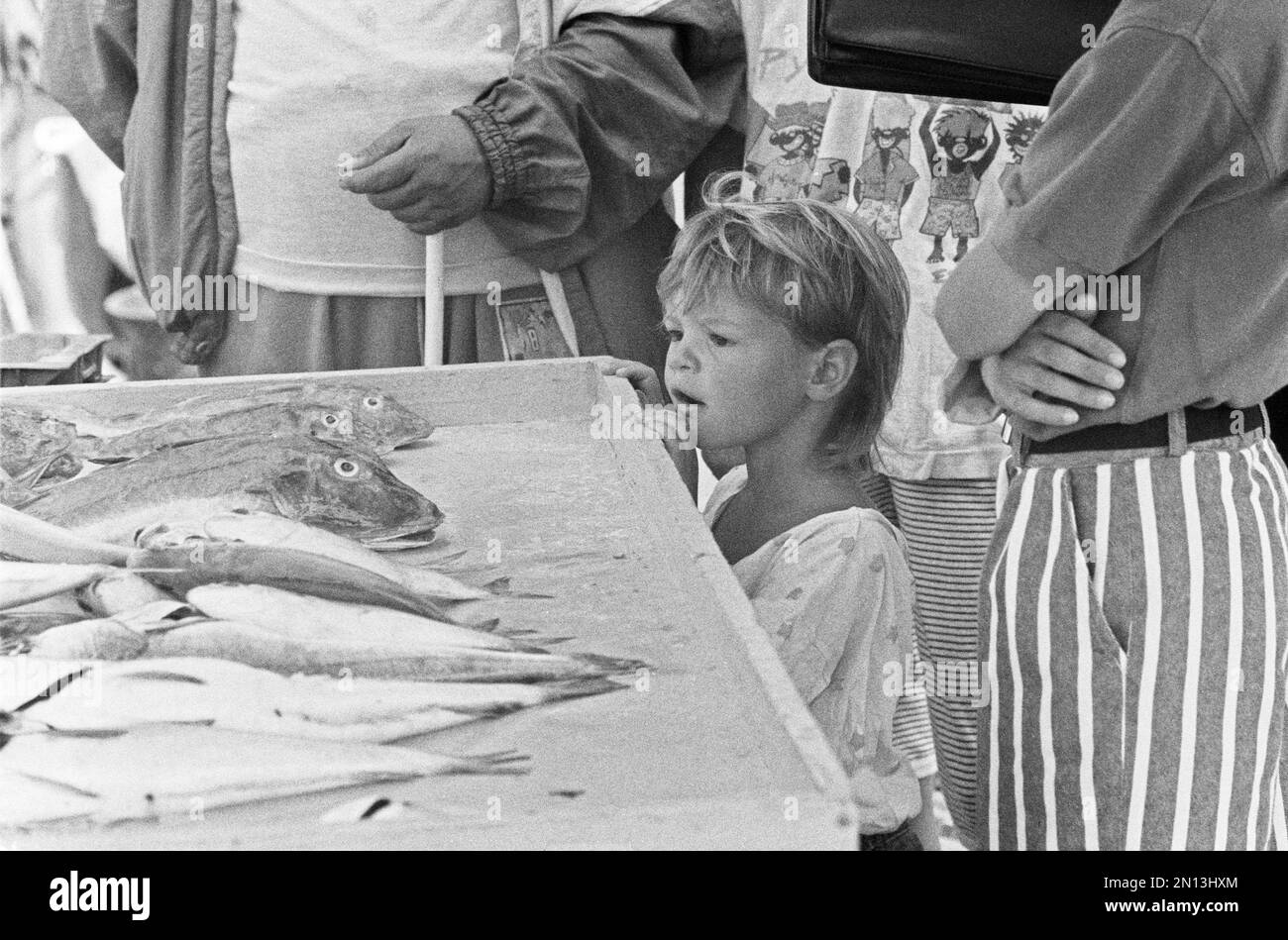Small child, fish market on the quai des Belges, harbour quay, Old Port ...