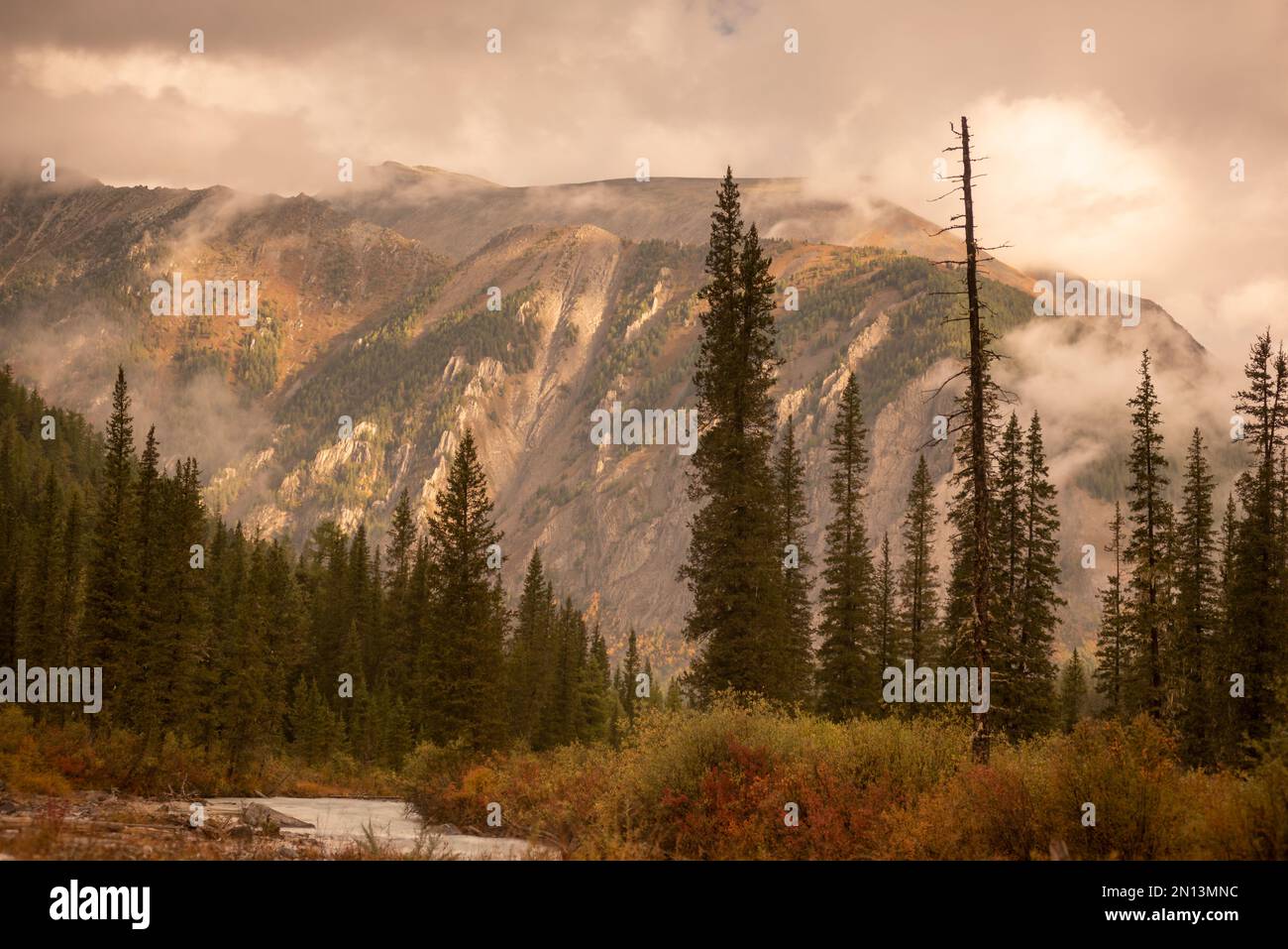 Morning fog is leaving the mountains after rain in the clouds in a ...