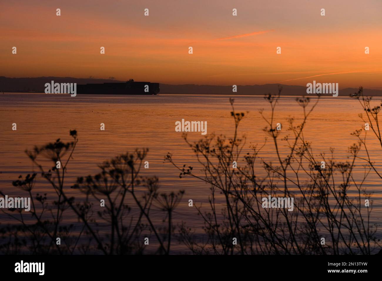 Foliage and waterfront of Warm Water Cove Park in San Francisco Bay ...