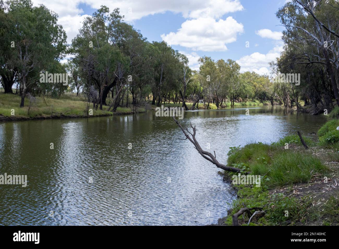 Condamine queensland hi-res stock photography and images - Alamy