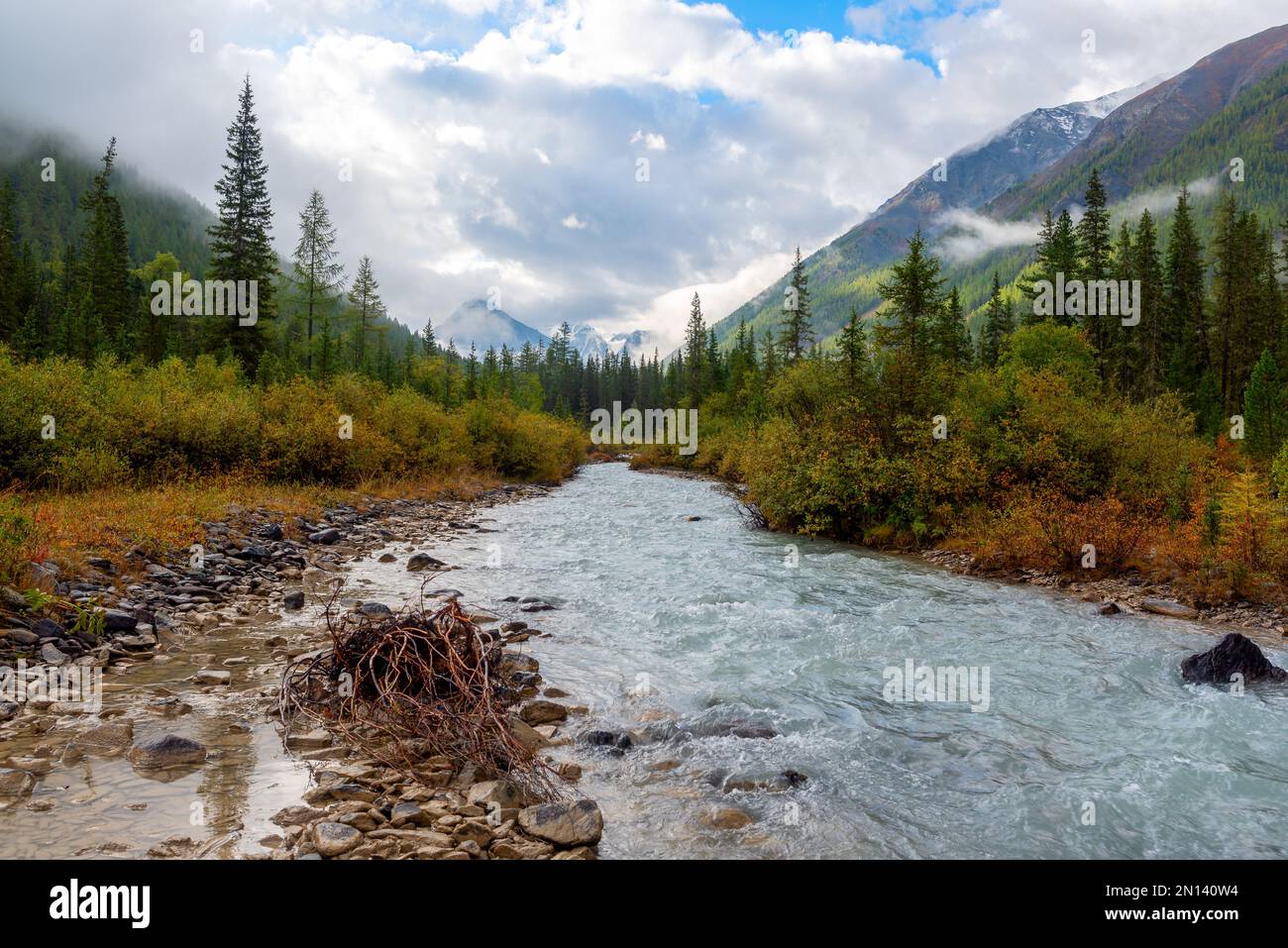 Dry log with roots in the water of an alpine river on stones in the ...