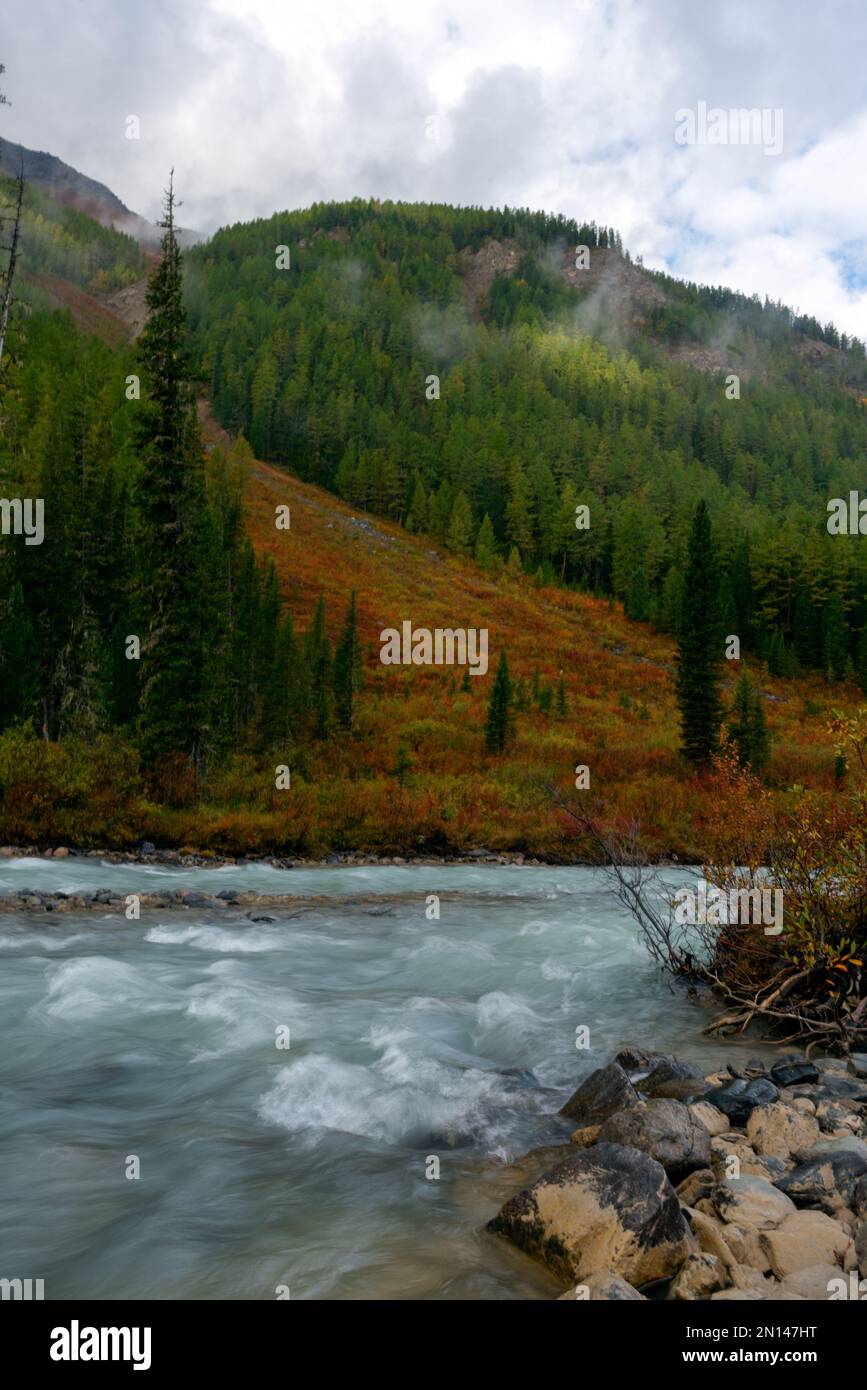 A stormy alpine river with waves against a stone shore and a mountain ...