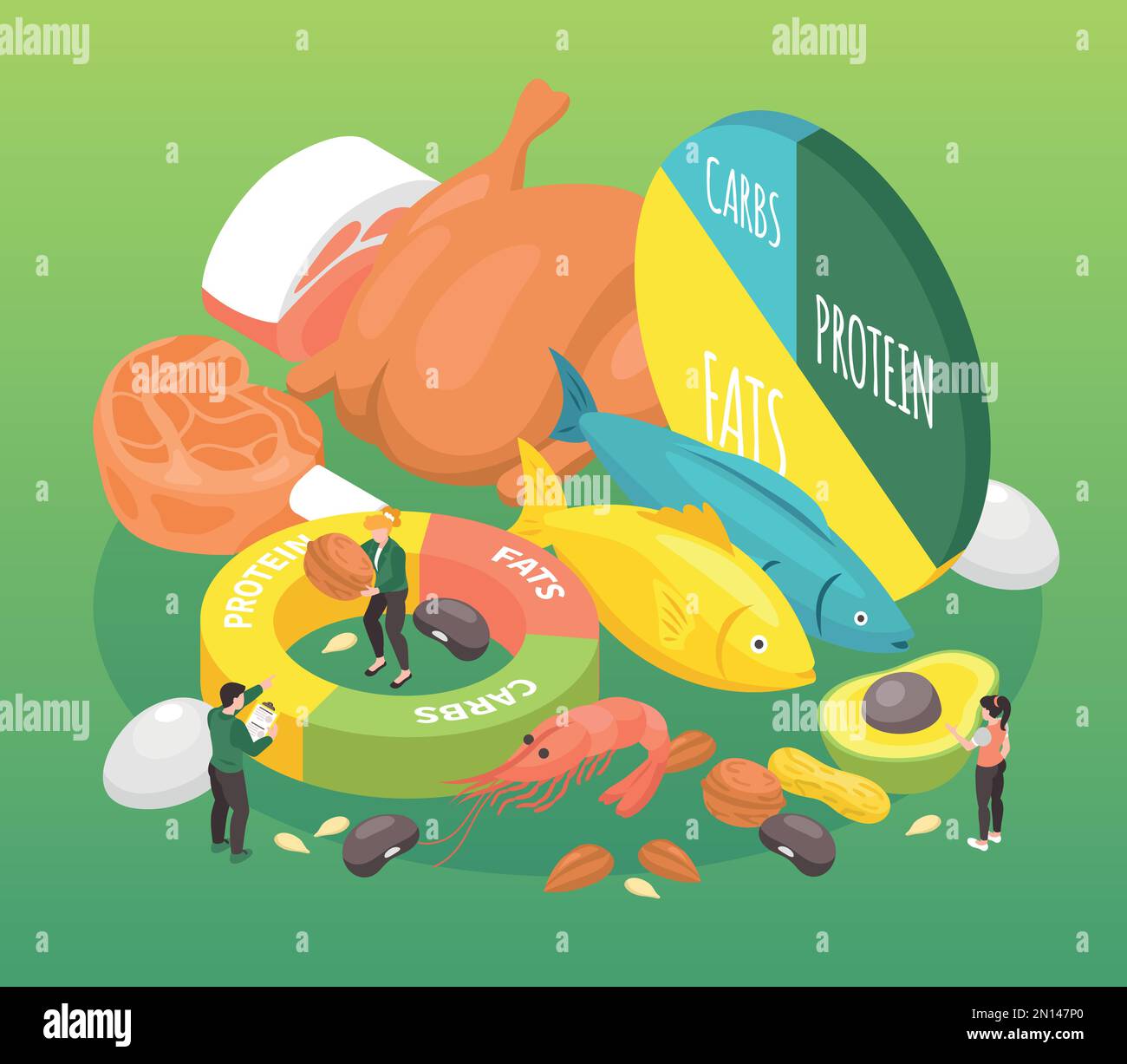 Isometric Keto Diet With Carb Protein And Fats Balance Vector