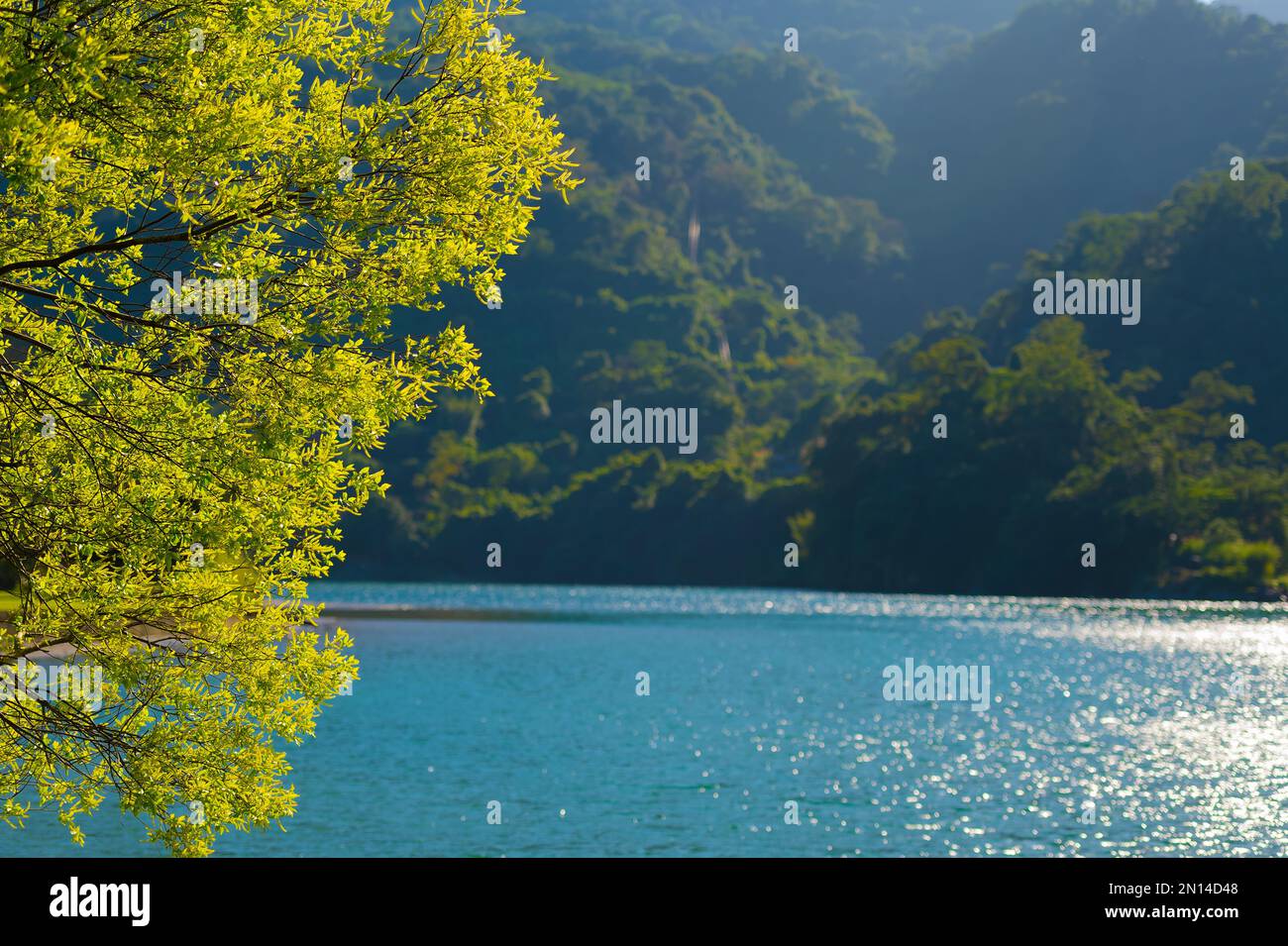 The turquoise lake water and the shade of trees constitute a peaceful ...