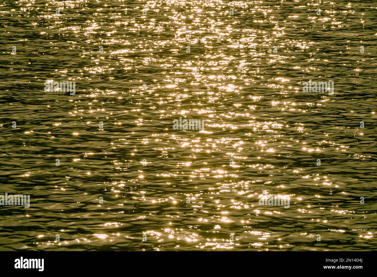 The sun shines on the surface of the lake with sparkling light. Golden ...