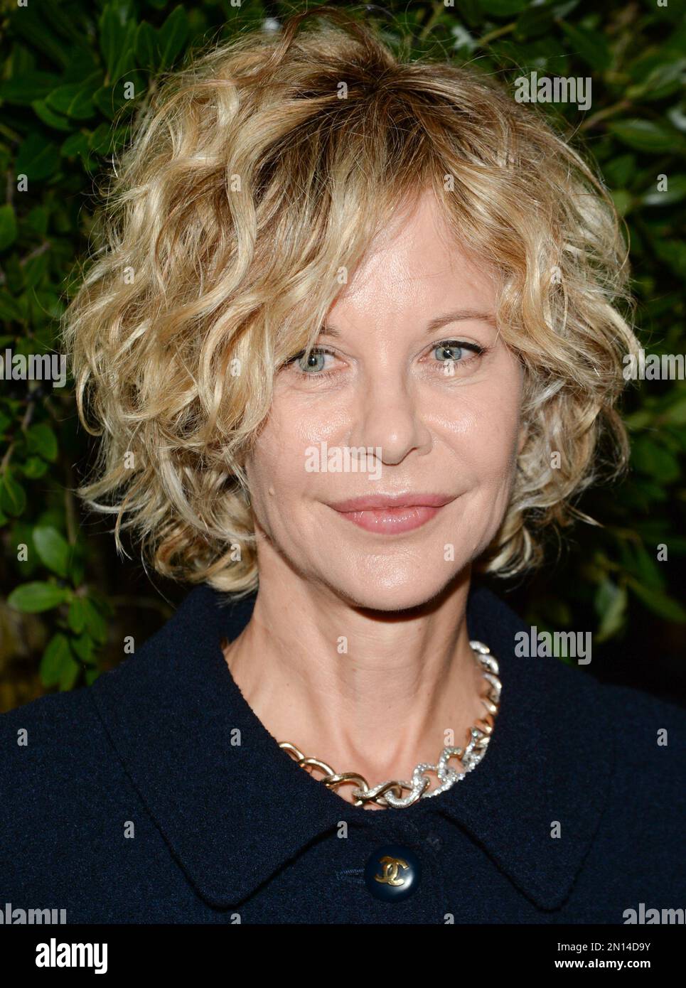 Meg Ryan 2015
